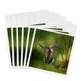 3drose, Angel Wings Hummingbird in Flight Art Image - Nature and ...