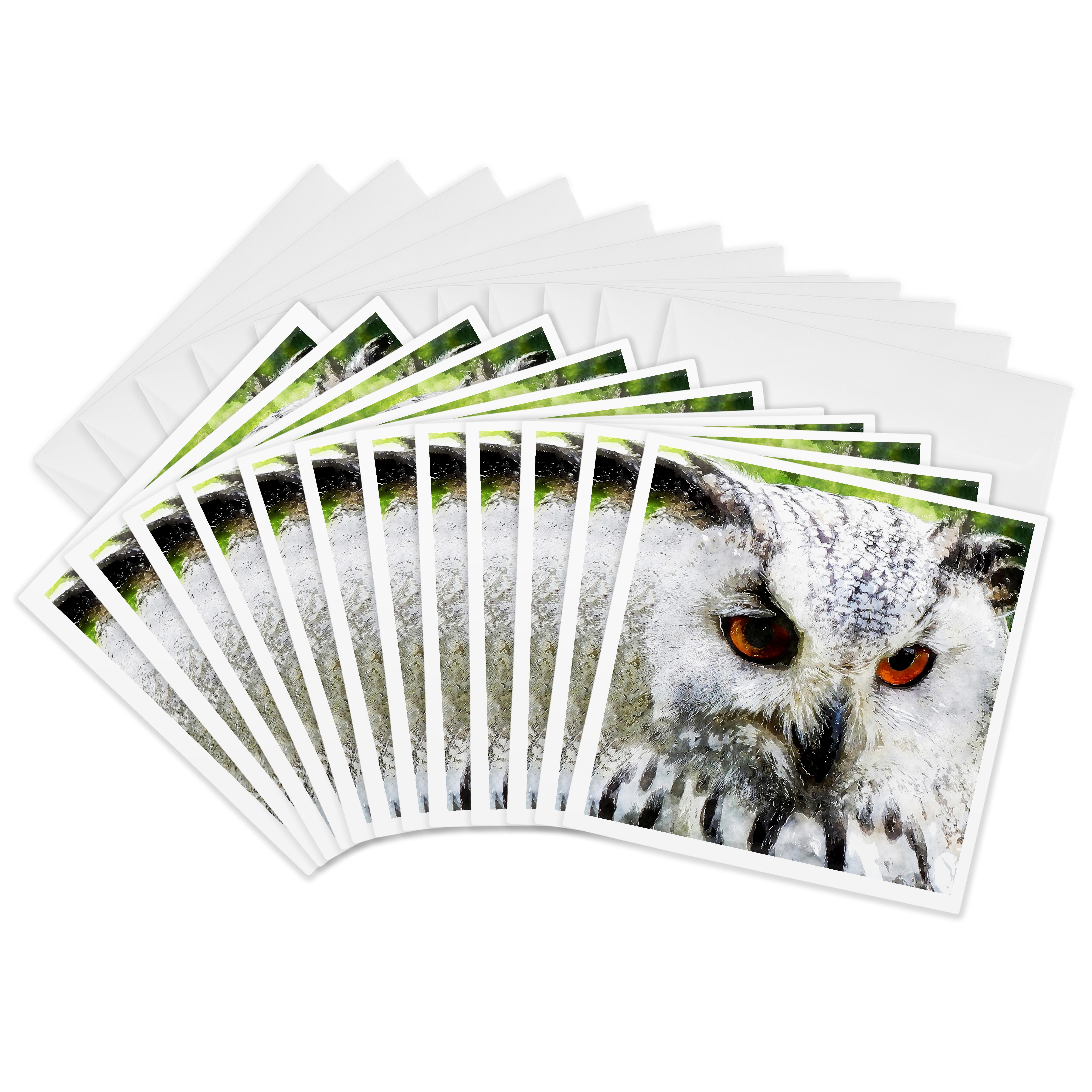 3drose, Animal Bird Owl in Watercolor, 12 Greeting Cards with Envelopes ...