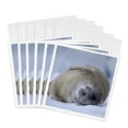 3drose, Antarctic Peninsula, Detaille Island. Crabeater Seal on Ice ...