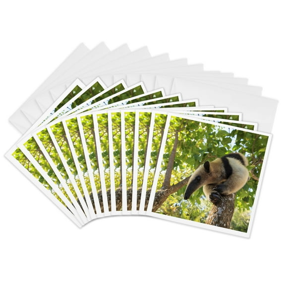 3drose, Anteater at Rehab Center, Mango Key, Roatan, Honduras, 12 ...