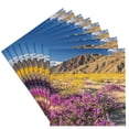 3drose, Anza Borrego Desert State Park, Ca. Desert Flowers Blooming ...