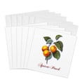 3drose, Apricot-peach, Botanical Print of Bright Yellow Fruits on a ...