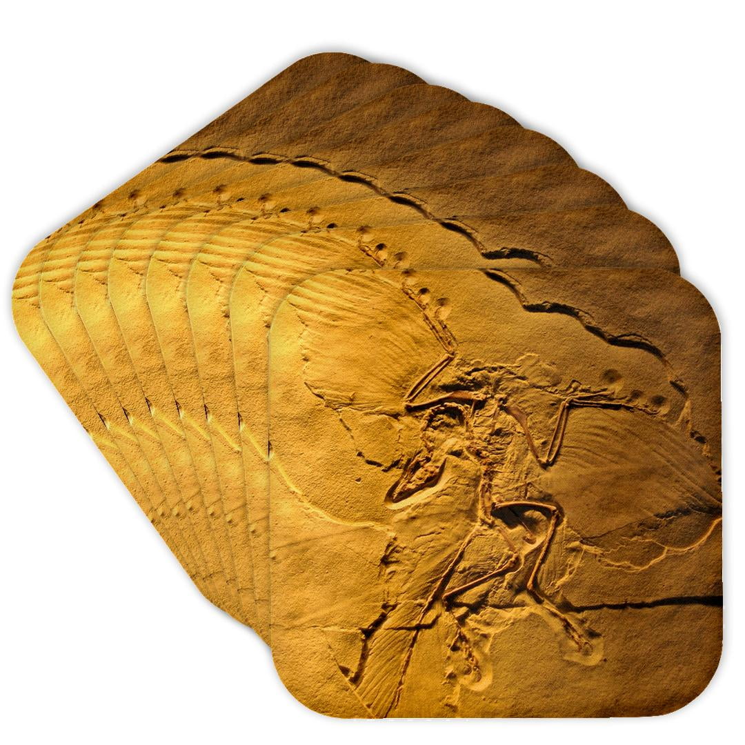 3drose, Archaeopteryx from the Jurasic Germany, Set of 8 Coasters ...