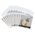 3drose, Arctic Fox in Snow. Gronfjorden, Nordenskiold Land, Norway ...