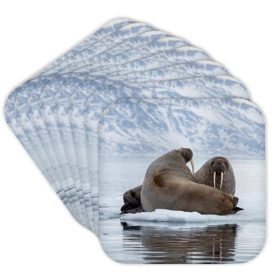 3drose, Arctic, Norway, Svalbard. Walruses Resting on the Pack Ice, Set ...