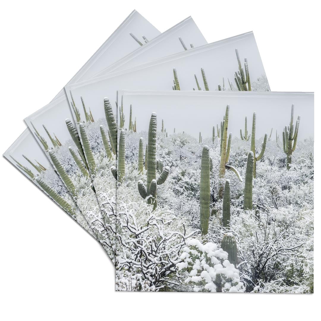 3drose, Arizona, Saguaro National Park. Saguaro Sunset, Set of 4 ...