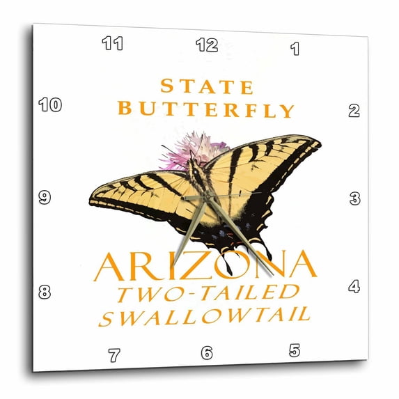 3drose, Arizona Territory Butterfly the Two-tailed Swallowtail, 10x10 ...