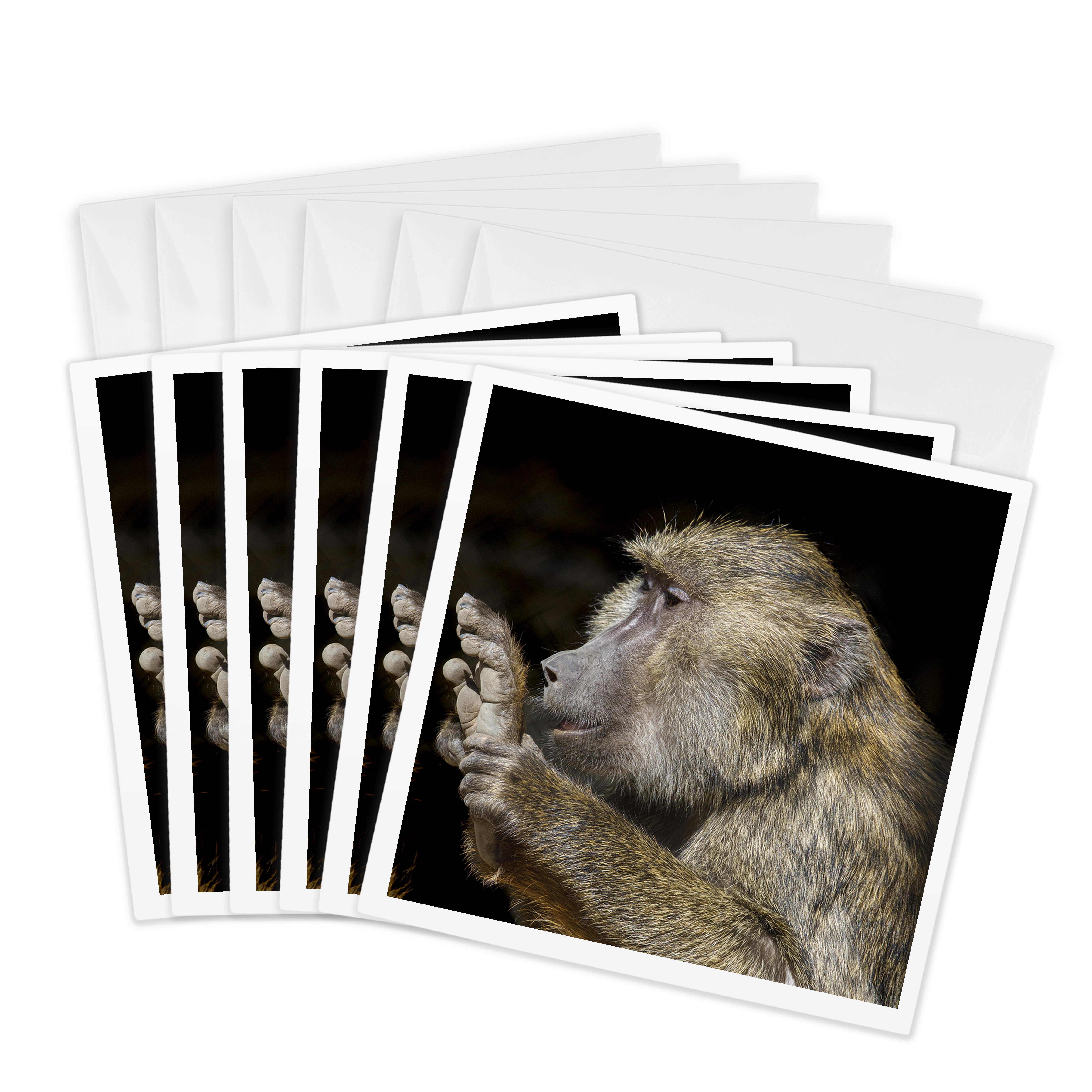 3drose, , Arizona, Wildlife World Zoo. Baboon in Profile., 6 Greeting ...