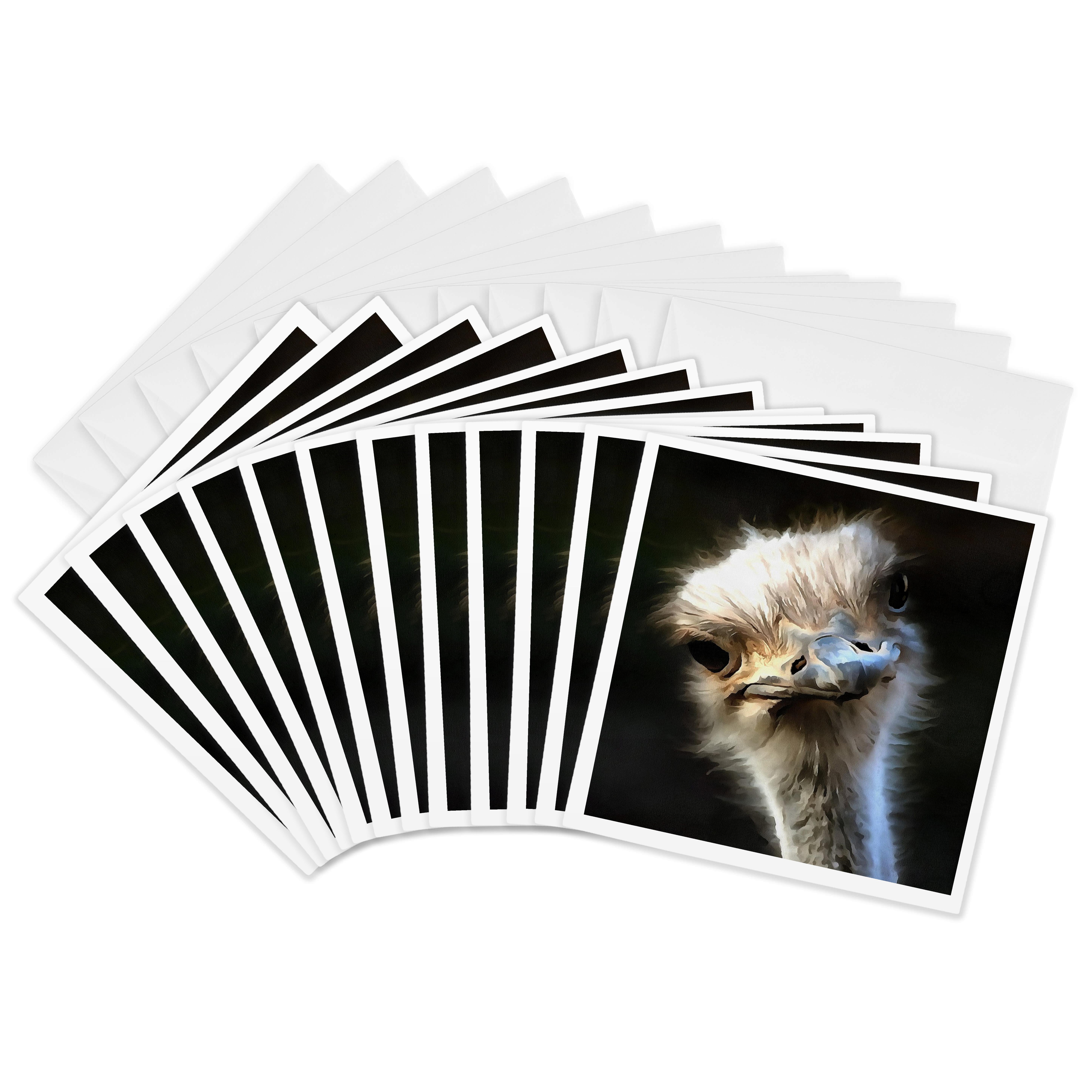 3drose, Artistic Ostrich Portrait with Goofy Expression, 12 Greeting ...