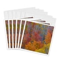 3drose, Aspens Multi Colored in Autumn Wasatch Mountains of Ogden, Utah ...