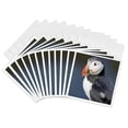 3drose, Atlantic Puffin, Latrabjerg Peninsula, Iceland - Eu14 Rbe0049 ...