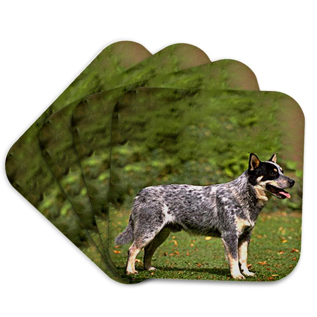 3drose, Australian Cattle Dog, Set of 4 Coasters - Cork - Walmart.com