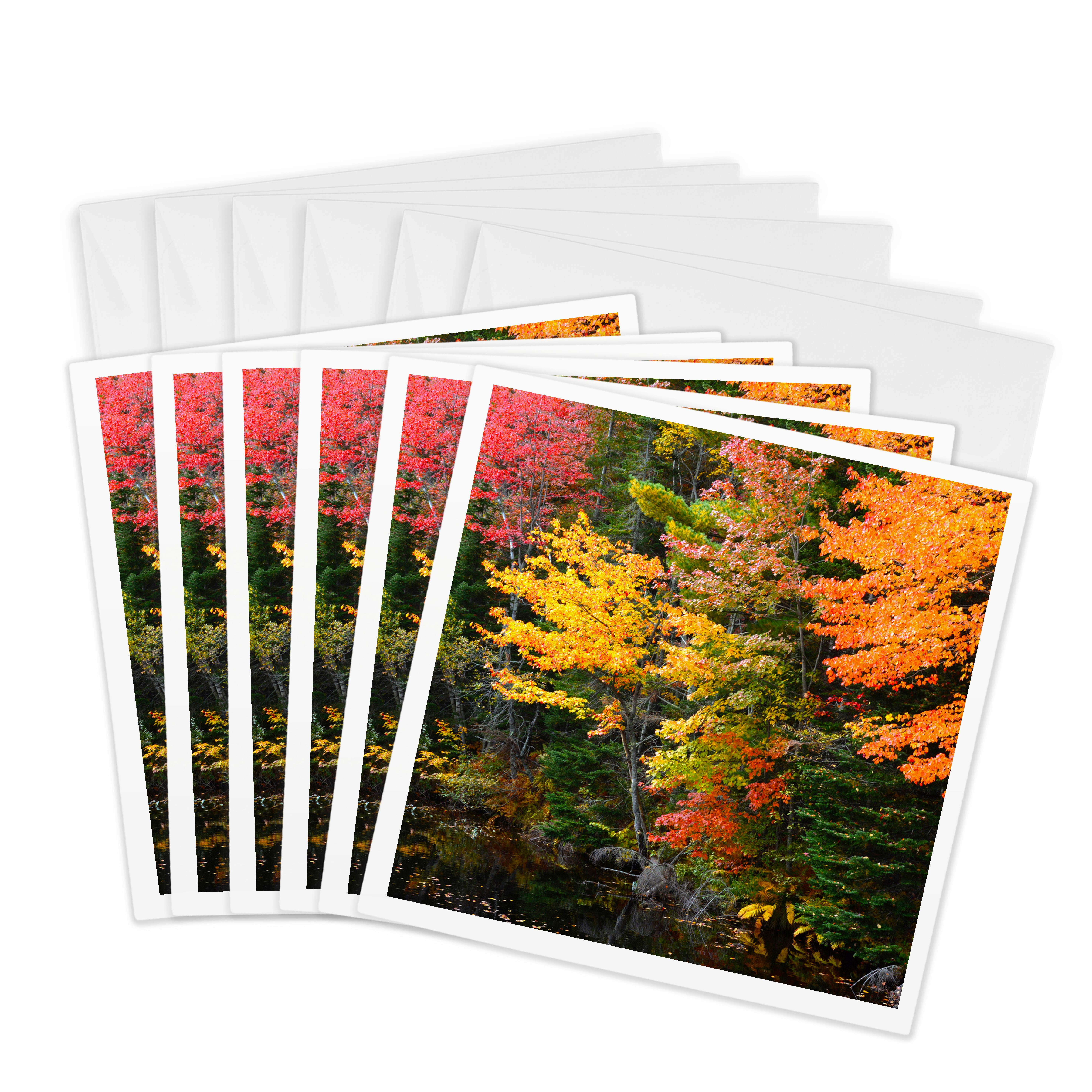 3drose, Autumn Trees, Sheepscot River, Palermo, Maine, Usa, 6 Greeting ...