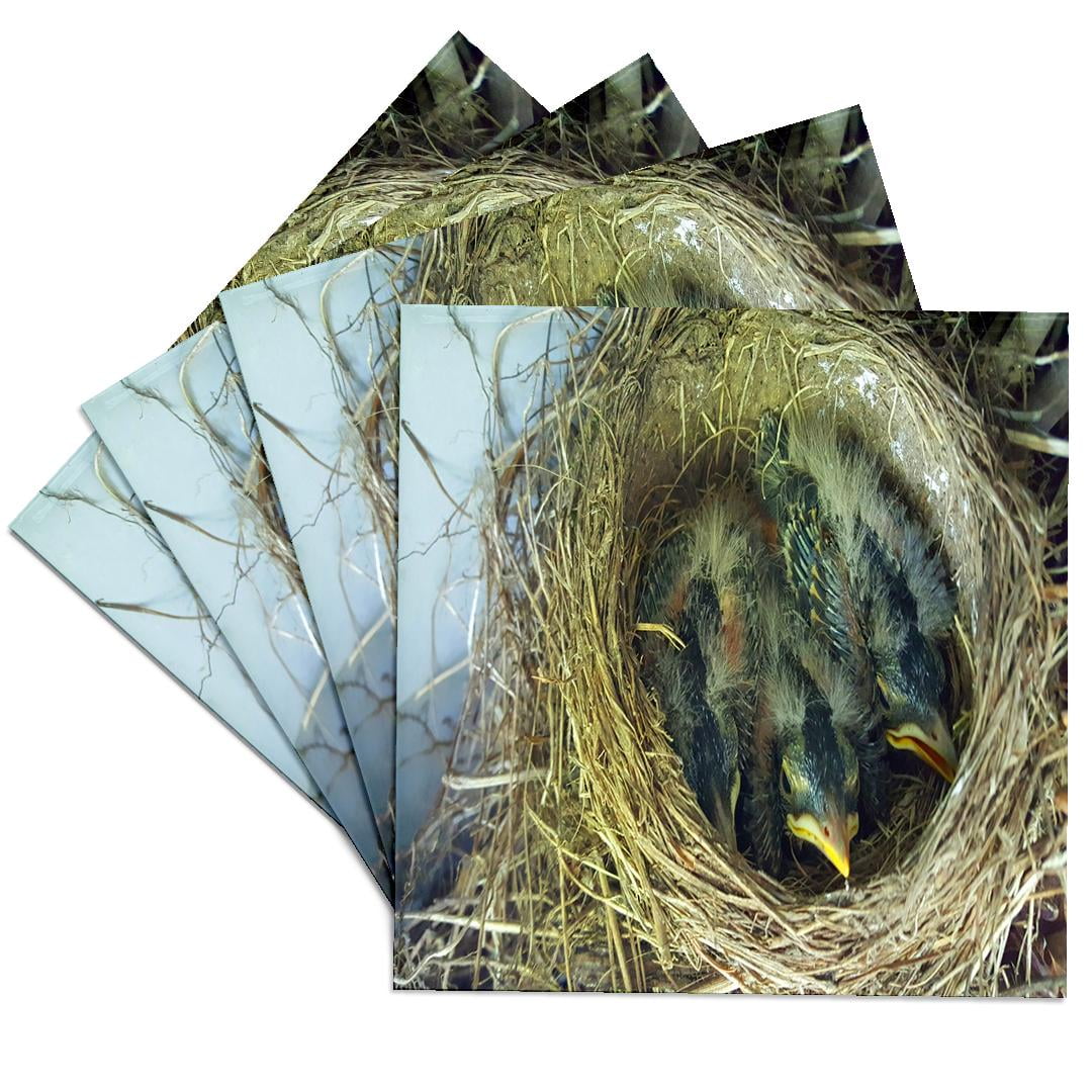 3drose, Baby Birds Robins Nest, Set of 4 Ceramic Tile Coasters ...
