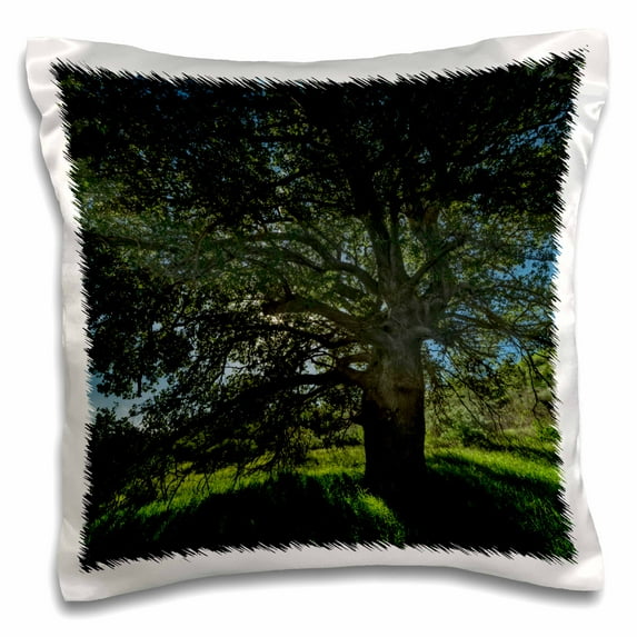3drose, Backlit Oak Tree, 16x16 inch Pillow Case - Walmart.com