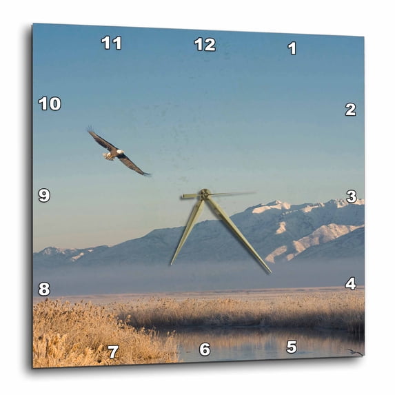 3drose, Bald Eagle, Farmington, Great Salt Lake, Utah, Usa - Us45 ...