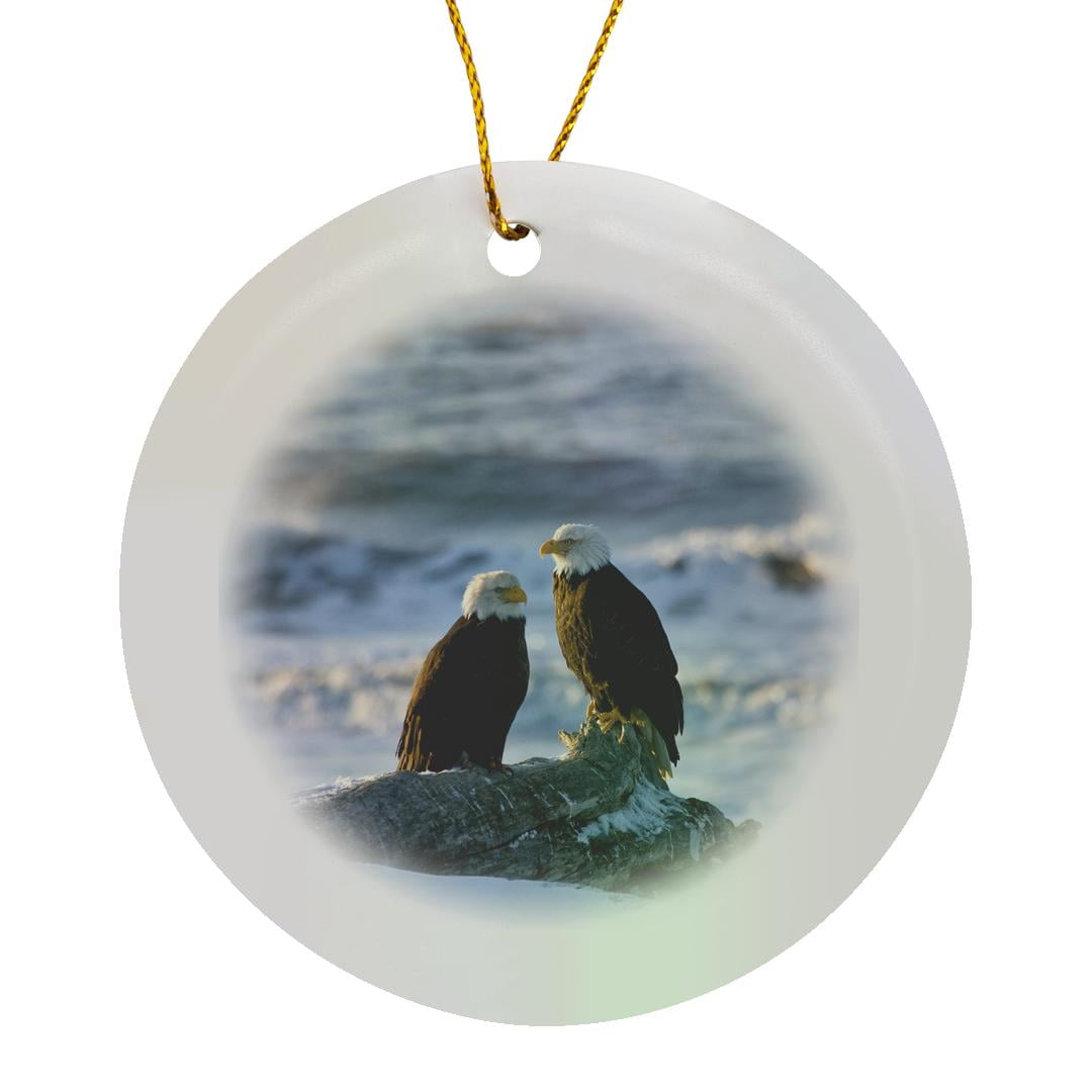 3drose, Bald Eagle, Homer, Alaska - Na02 Dno0624 - David Northcott ...