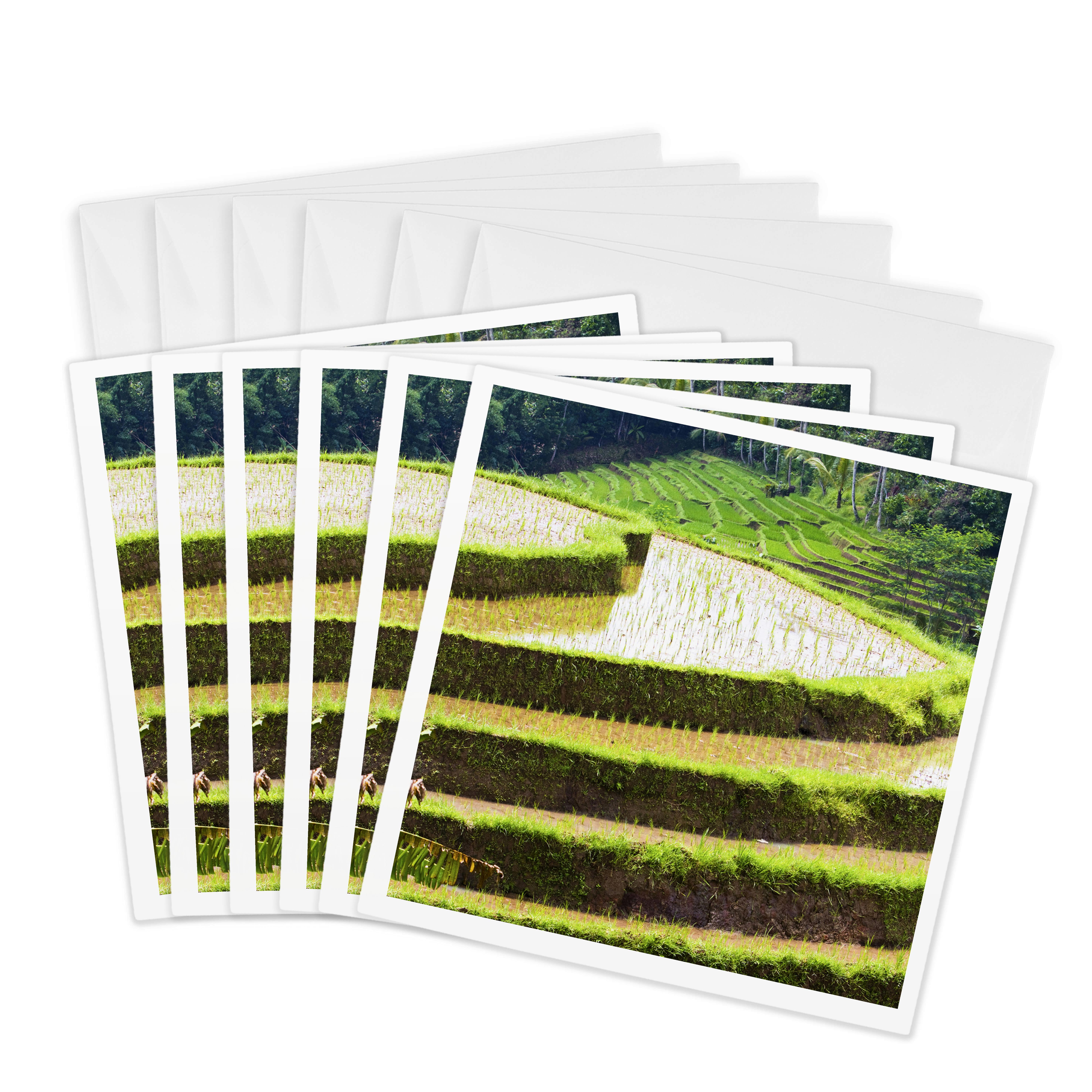 3drose, Bali, Indonesia. Rice Paddies, Agriculture-as11 Mwr0161 - Micah ...