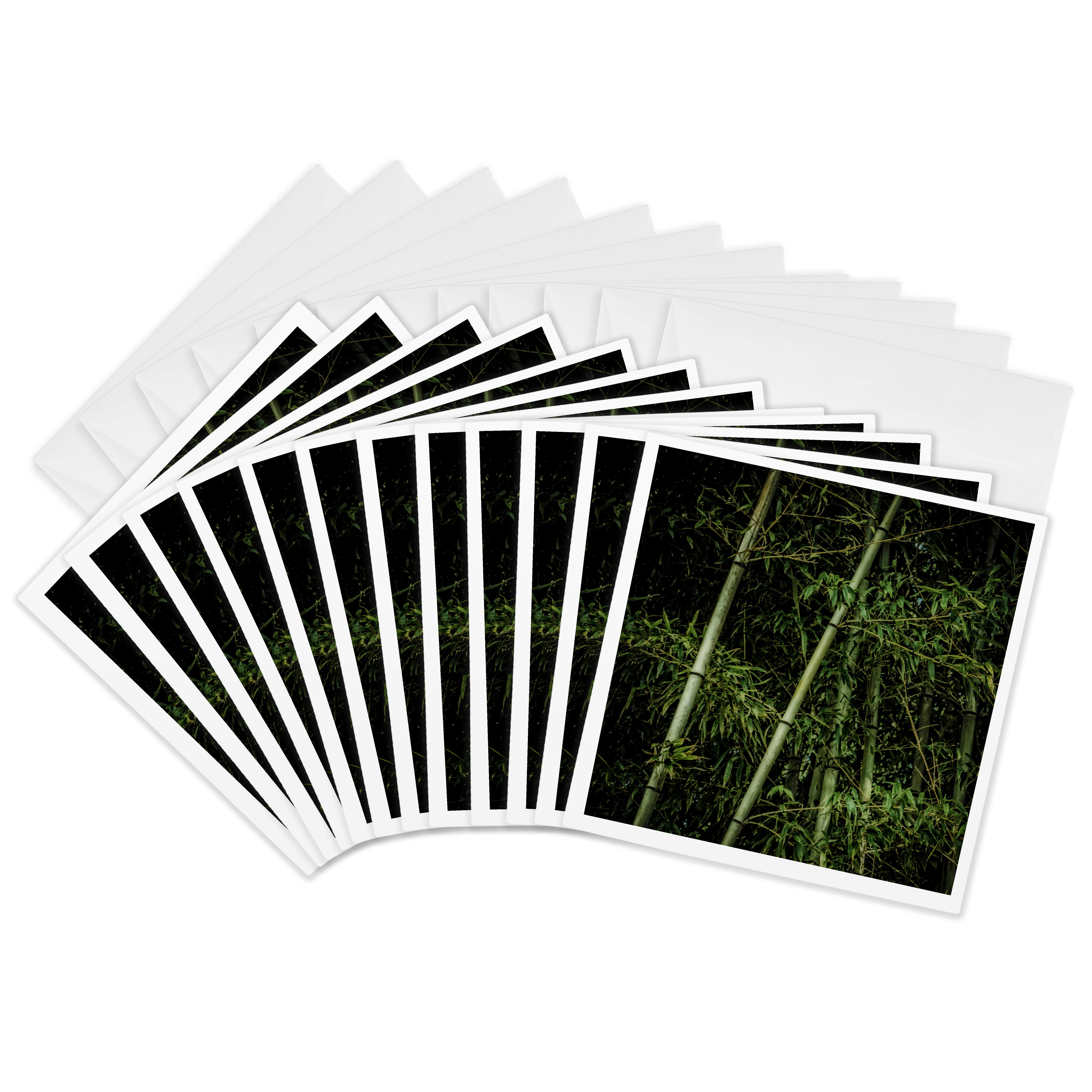 3drose, Bamboo Forest, 12 Greeting Cards with Envelopes - Walmart.com