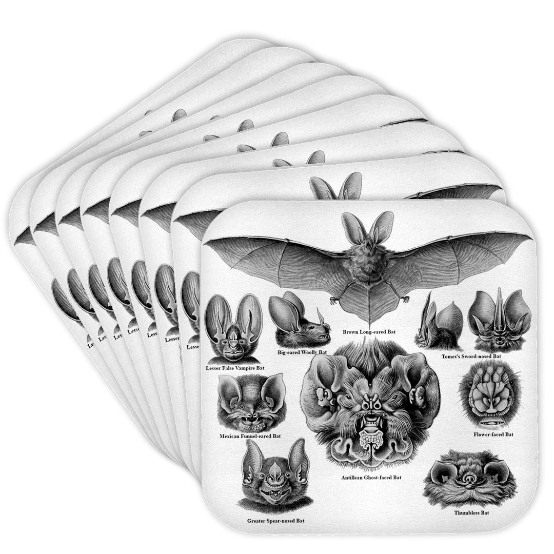 3drose, Bats Art Print with Name Labels Bat Breed Species ...