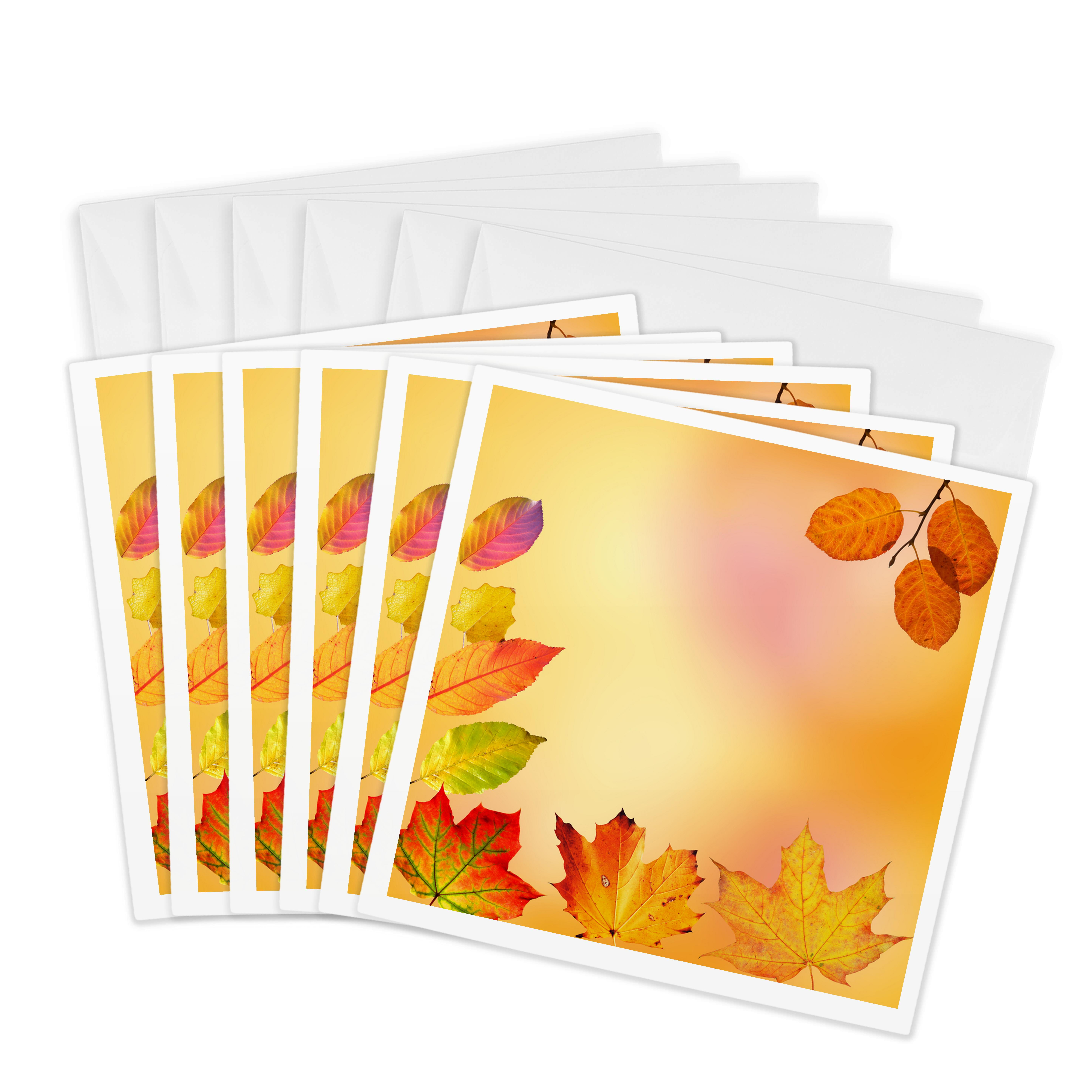 3drose, Beautiful Autumn Leaves on an Orange Background, 6 Greeting ...
