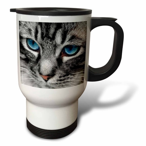 3drose, Beautiful Close up Silver Tabby Cat Face with Gorgeous Blue ...