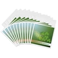 3drose, Beautiful Green and Gold Shamrocks, Good Health, Good Luck and ...