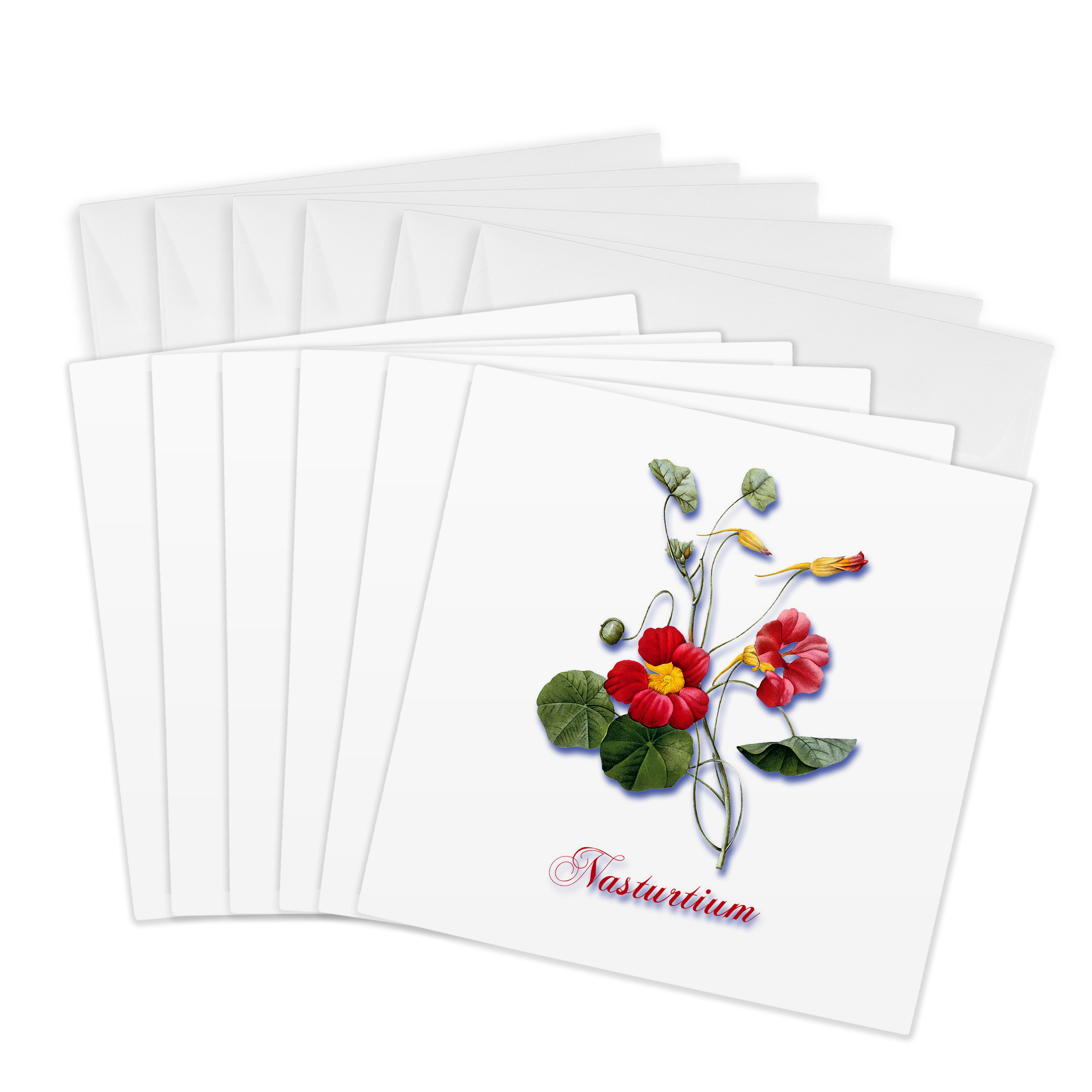 3drose, Beautiful Red and Yellow Nasturtium Botanical Print, 6 Greeting ...