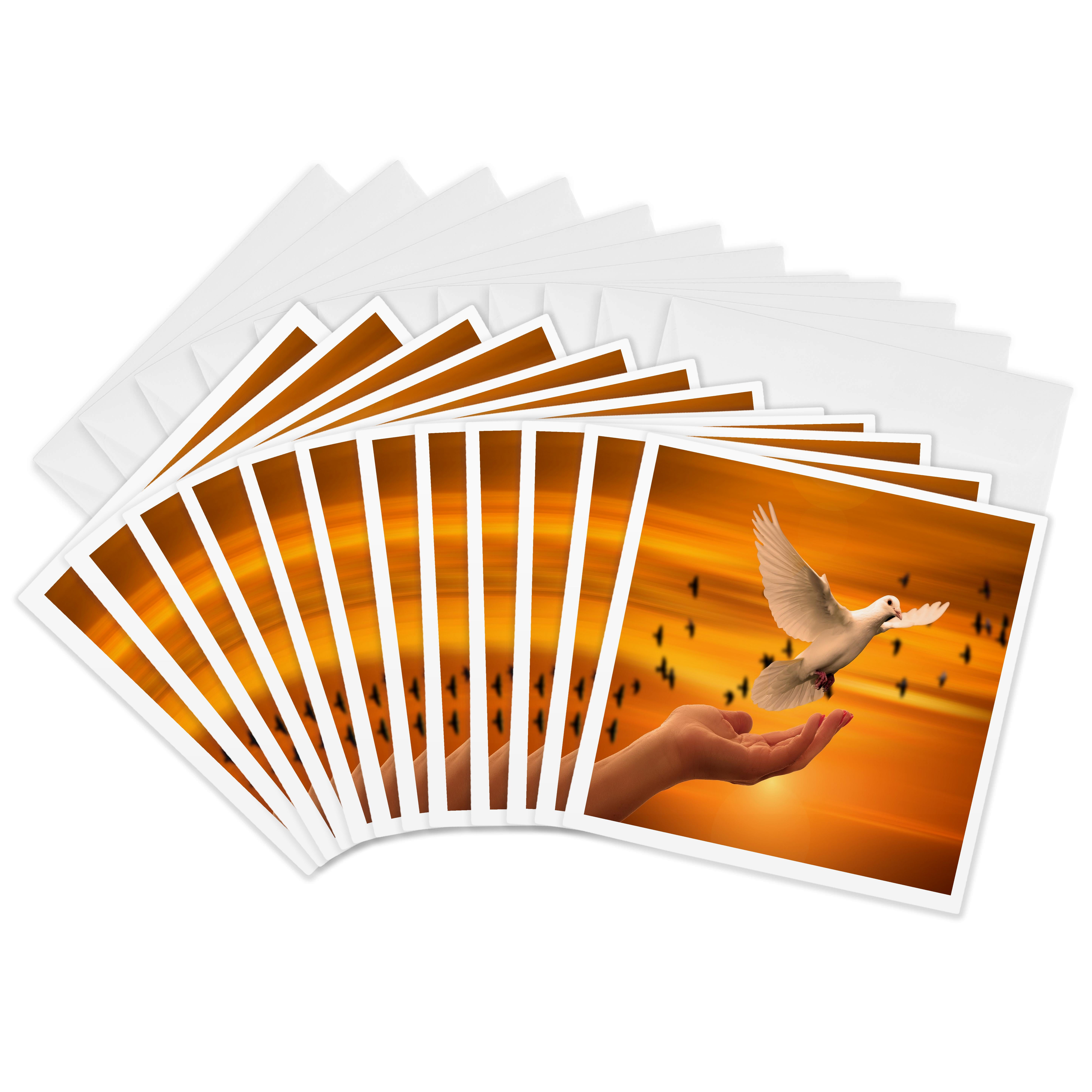 3drose, Beautiful White Dove Flying Out of a Hand at Sunset, 12 ...