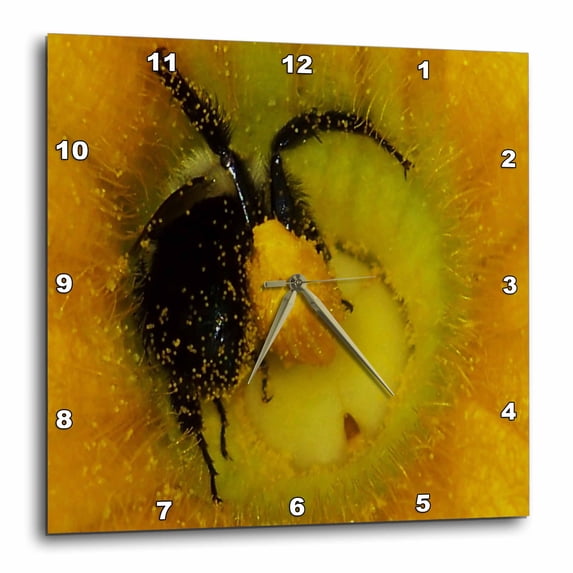 3drose, Bee Pollinating a Flower, 15x15 Wall Clock - Walmart.com