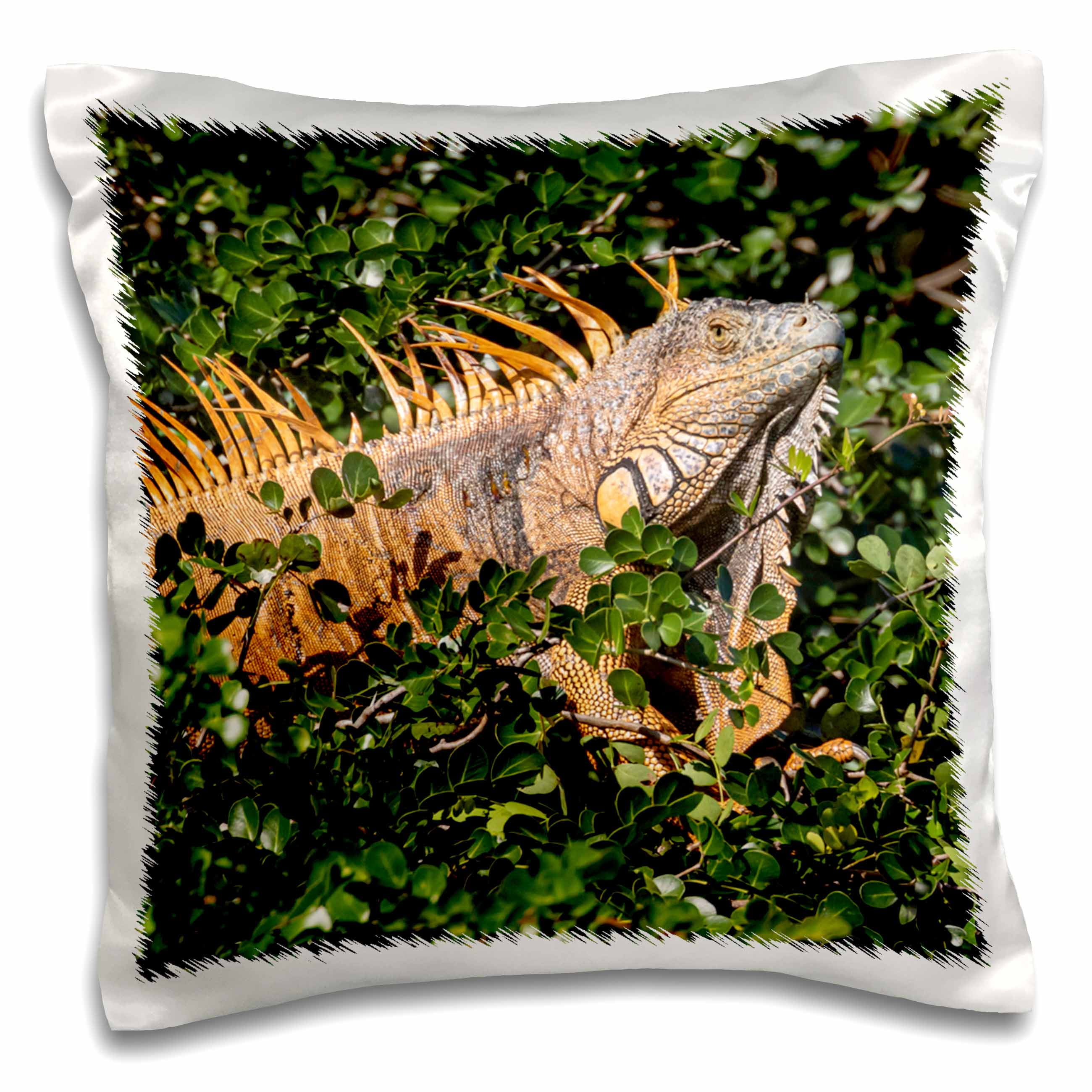 3drose, Belize, Crooked Tree, Male Green Iguana., 16x16 inch Pillow ...