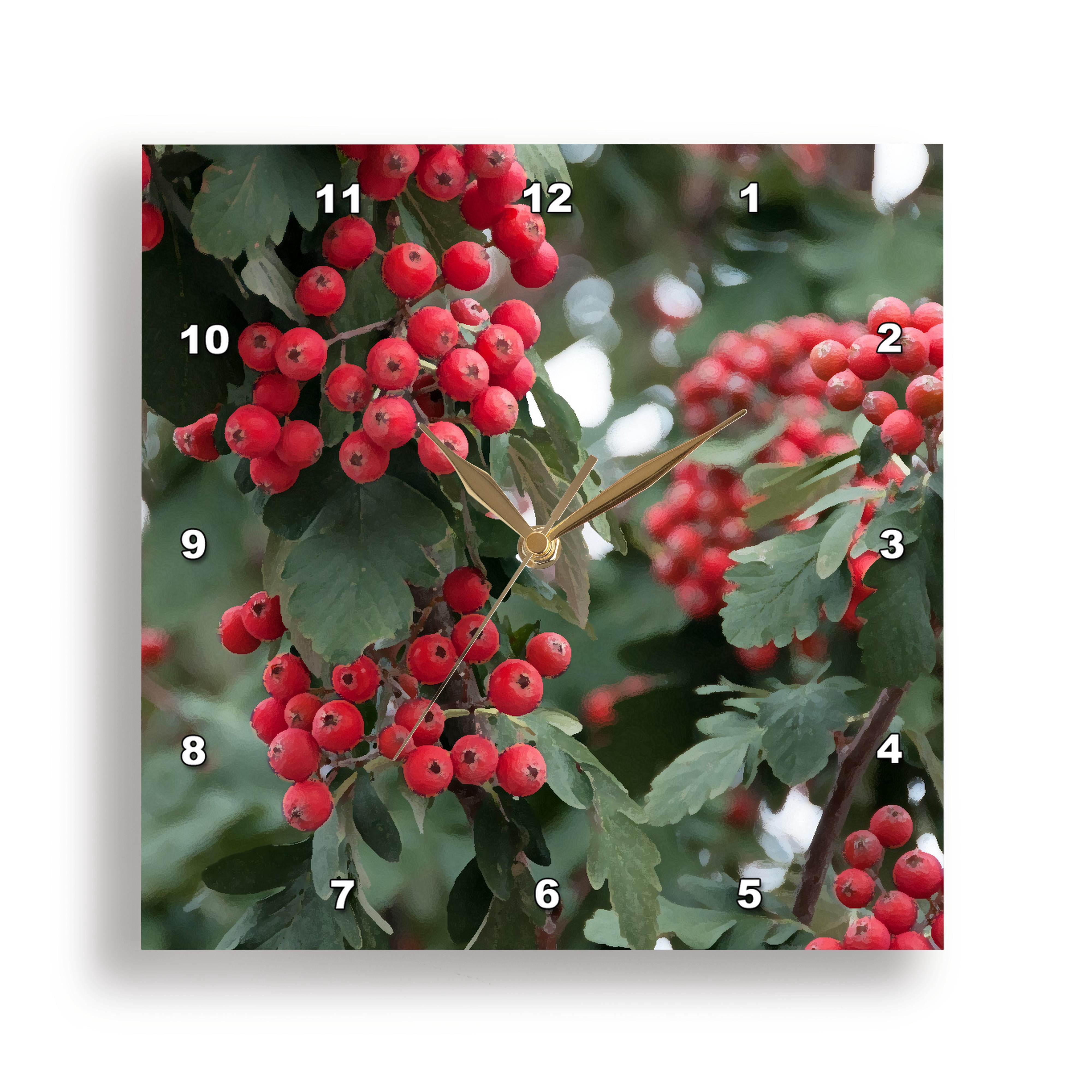 3drose, Berries on a Tree in Paris Idaho Watercolored Digitally, 15x15 ...