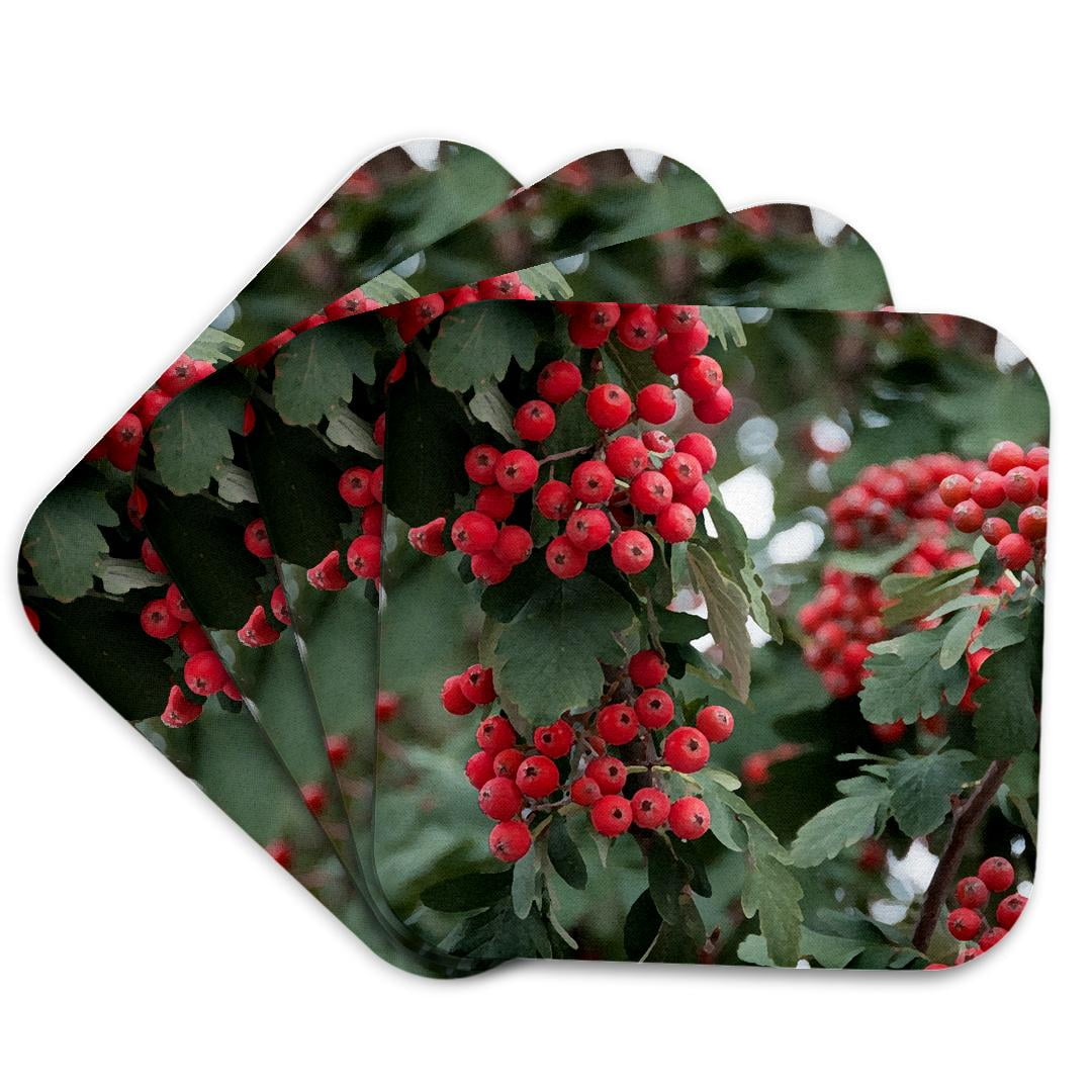 3drose, Berries on a Tree in Paris Idaho Watercolored Digitally, Set of ...