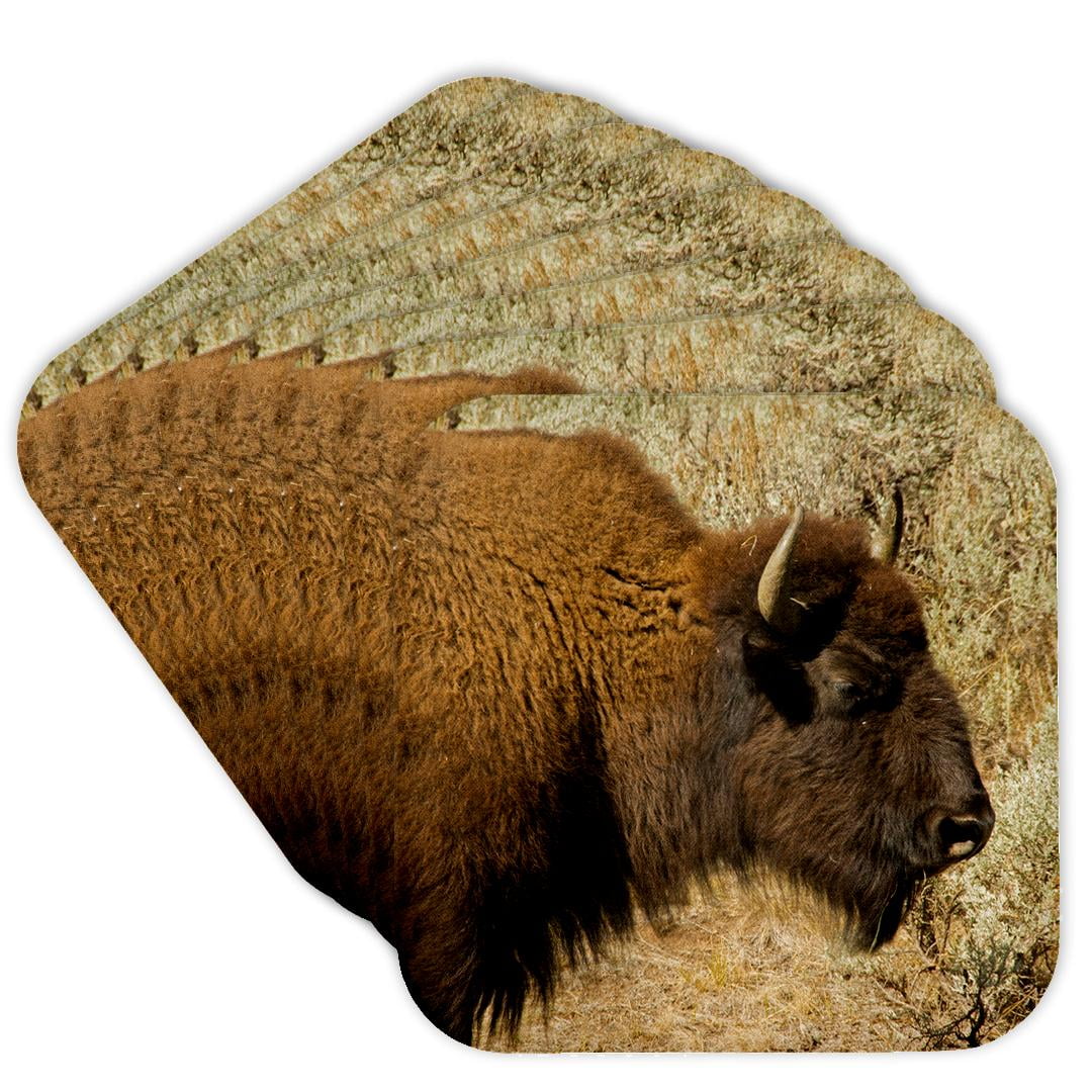 3drose, Bison Profile, Lamar Valley, Yellowstone National Park, Wyoming ...