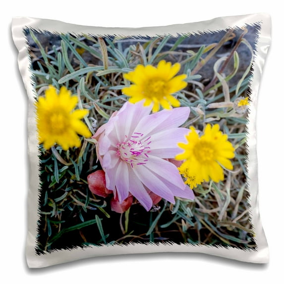 3drose, Bitterroot Flower Blooming Amongst Yellow Wildflowers., 16x16 ...