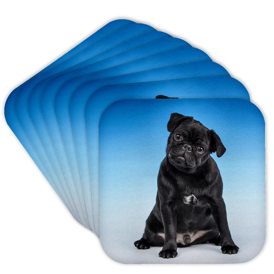 3drose, Black Pug Puppy Sitting in a Studio., Pr, Set of 8 Coasters ...
