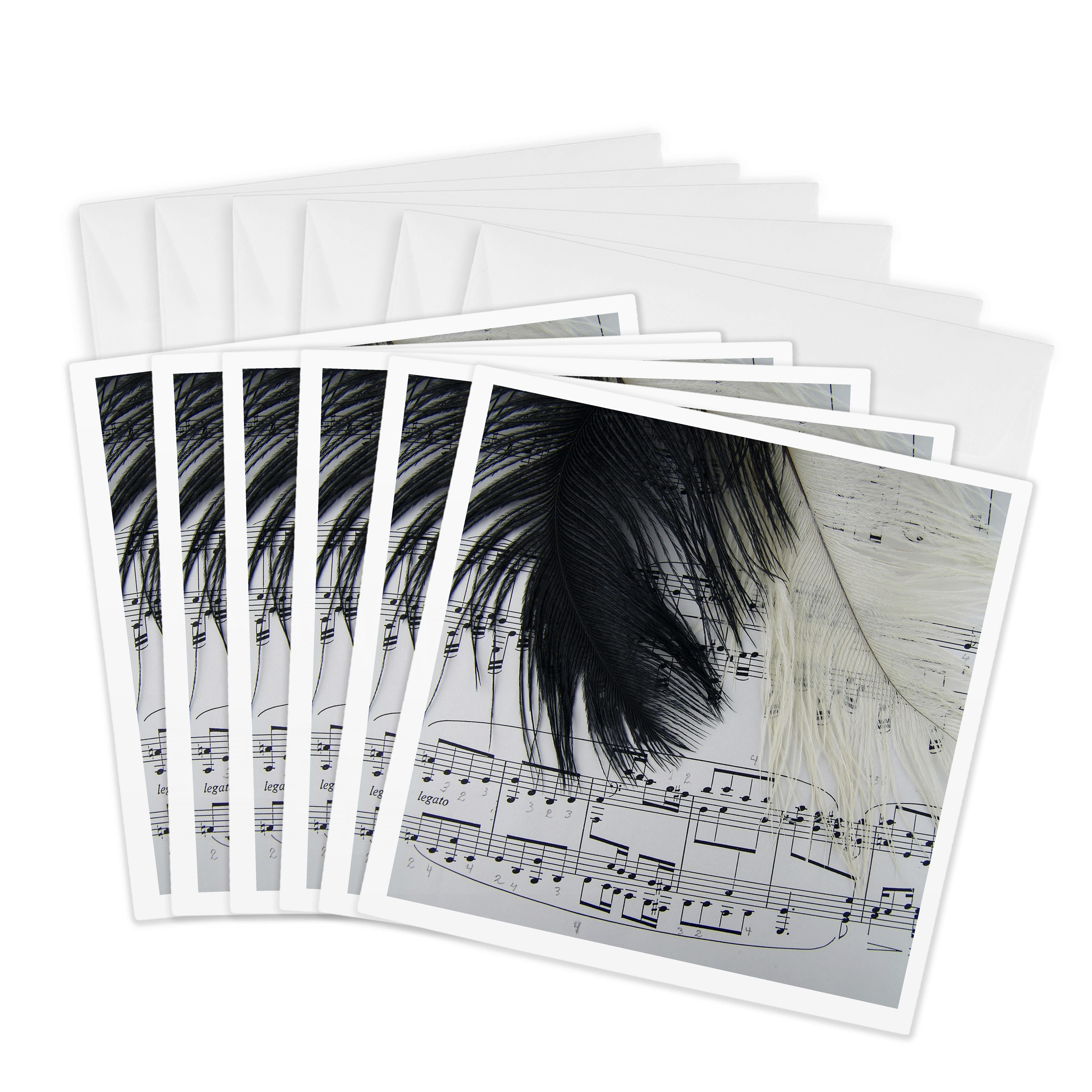 3drose, Black and White Feathers on Notes, 6 Greeting Cards with ...