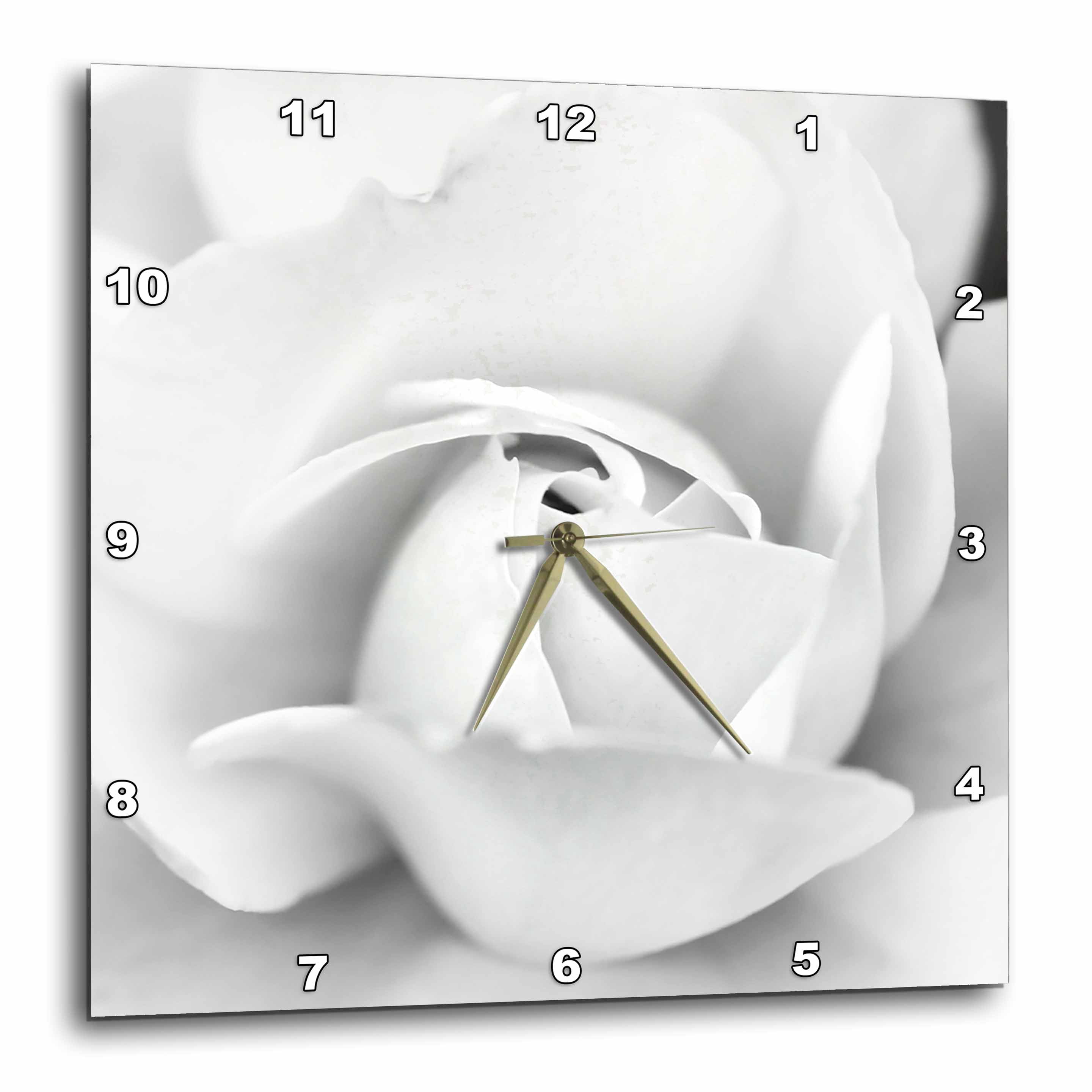 3drose, Black and White Macro Photograph of a Pastel St. Tropez Rose in ...