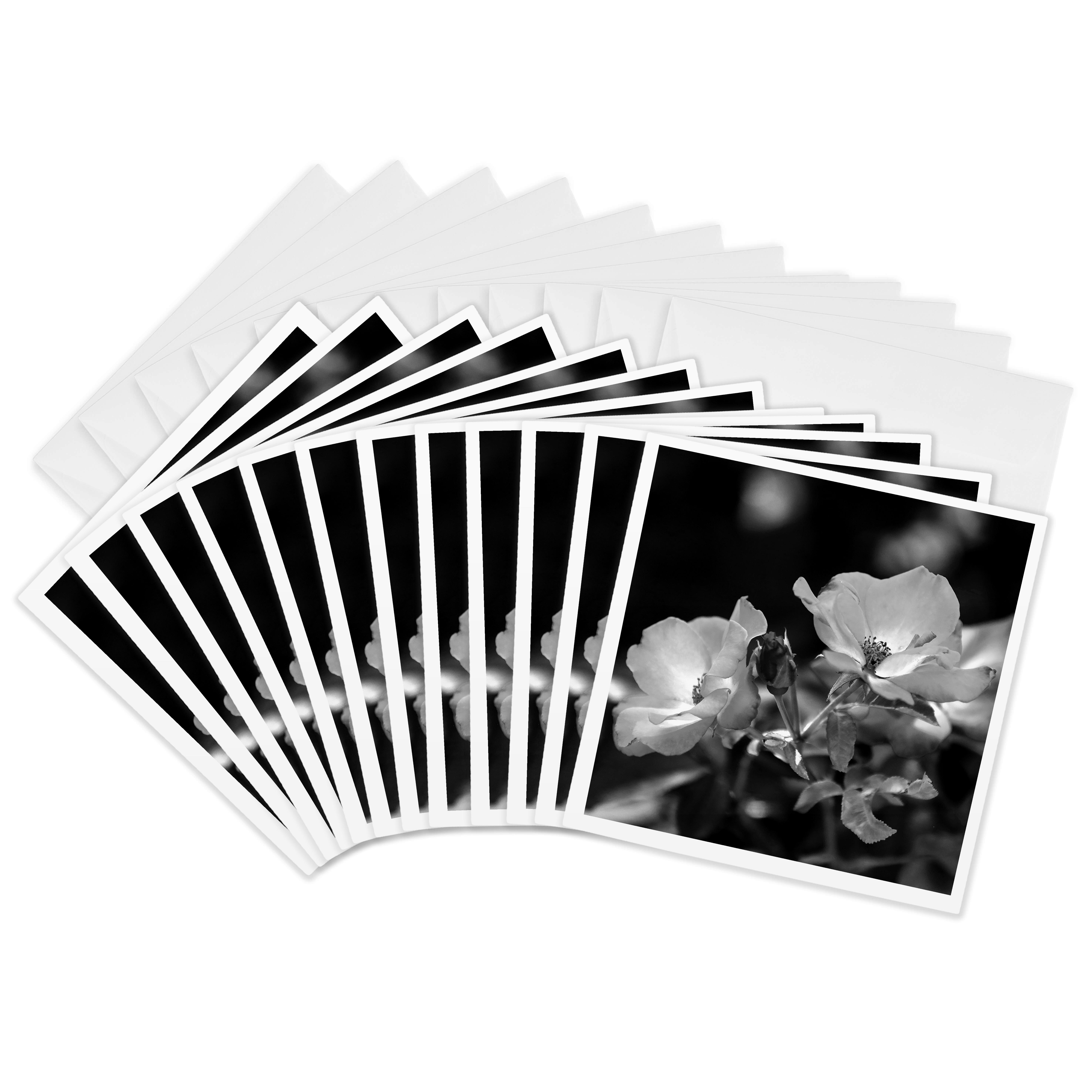 3drose, Black and White Photograph of a Cluster of Playboy Floribunda ...