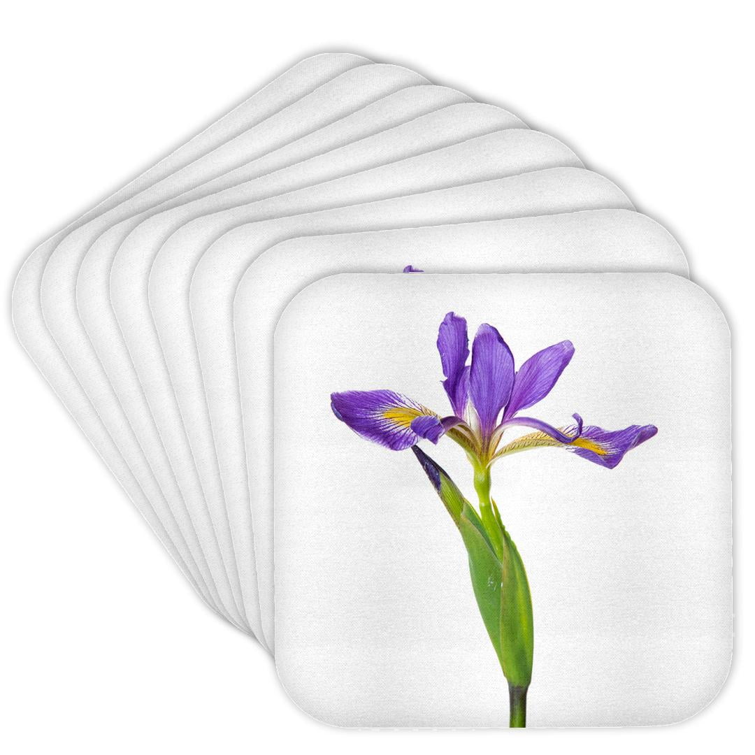 3drose, Blue Flag Iris, Iris Versicolor, with White Background, Marion ...