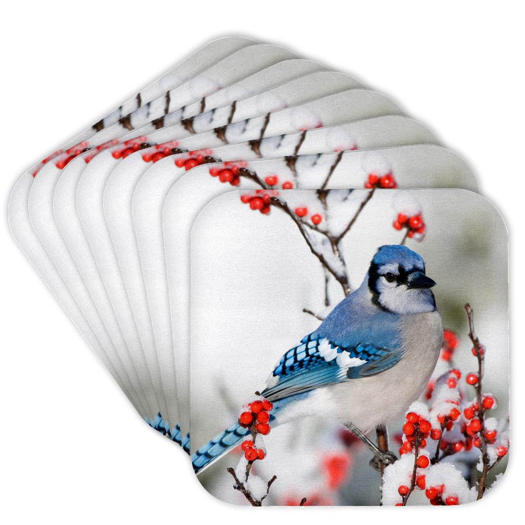 3drose, Blue Jay in Common Winterberry, in Winter, Marion Co. Il, Set ...