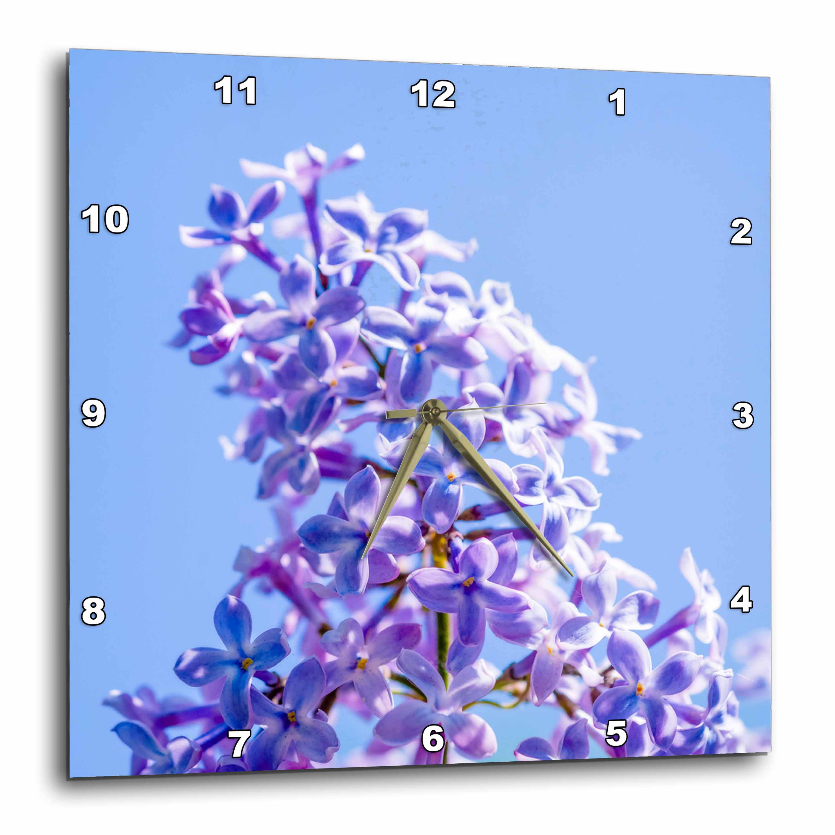 3drose, Blue and Purple Lilacs Against the Background of Blue Sky ...