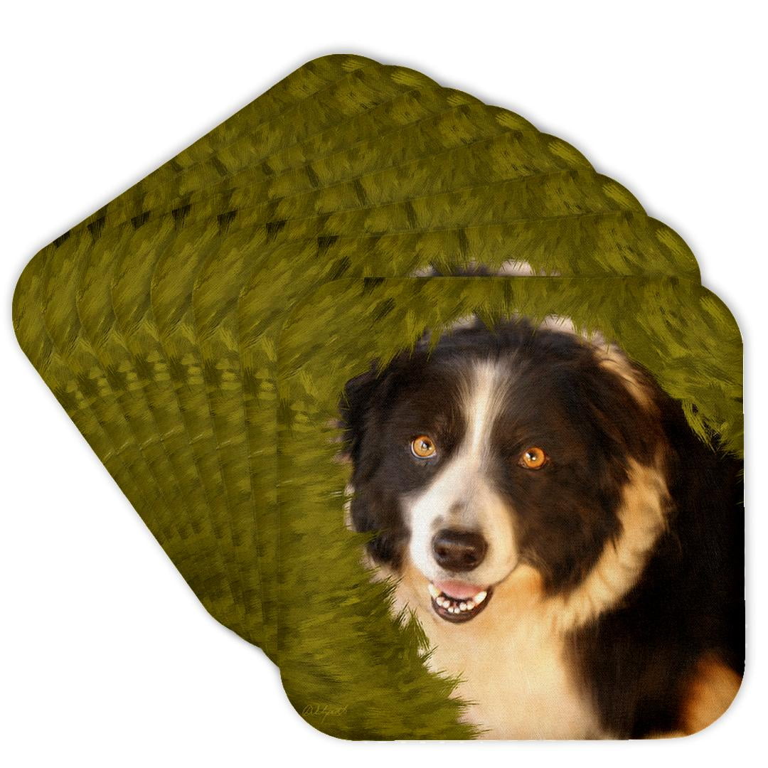 3drose, Border Collie, Set of 8 Coasters - Cork - Walmart.com