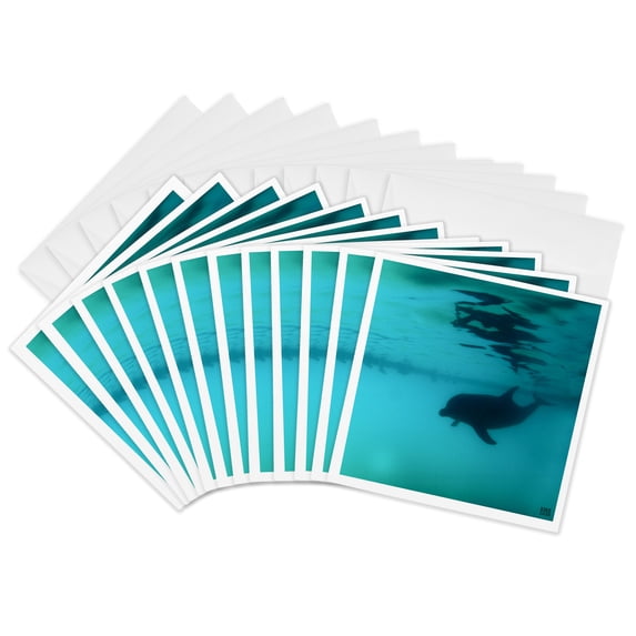 3drose, Bottlenose Dolphin, 12 Greeting Cards with Envelopes - Walmart.com
