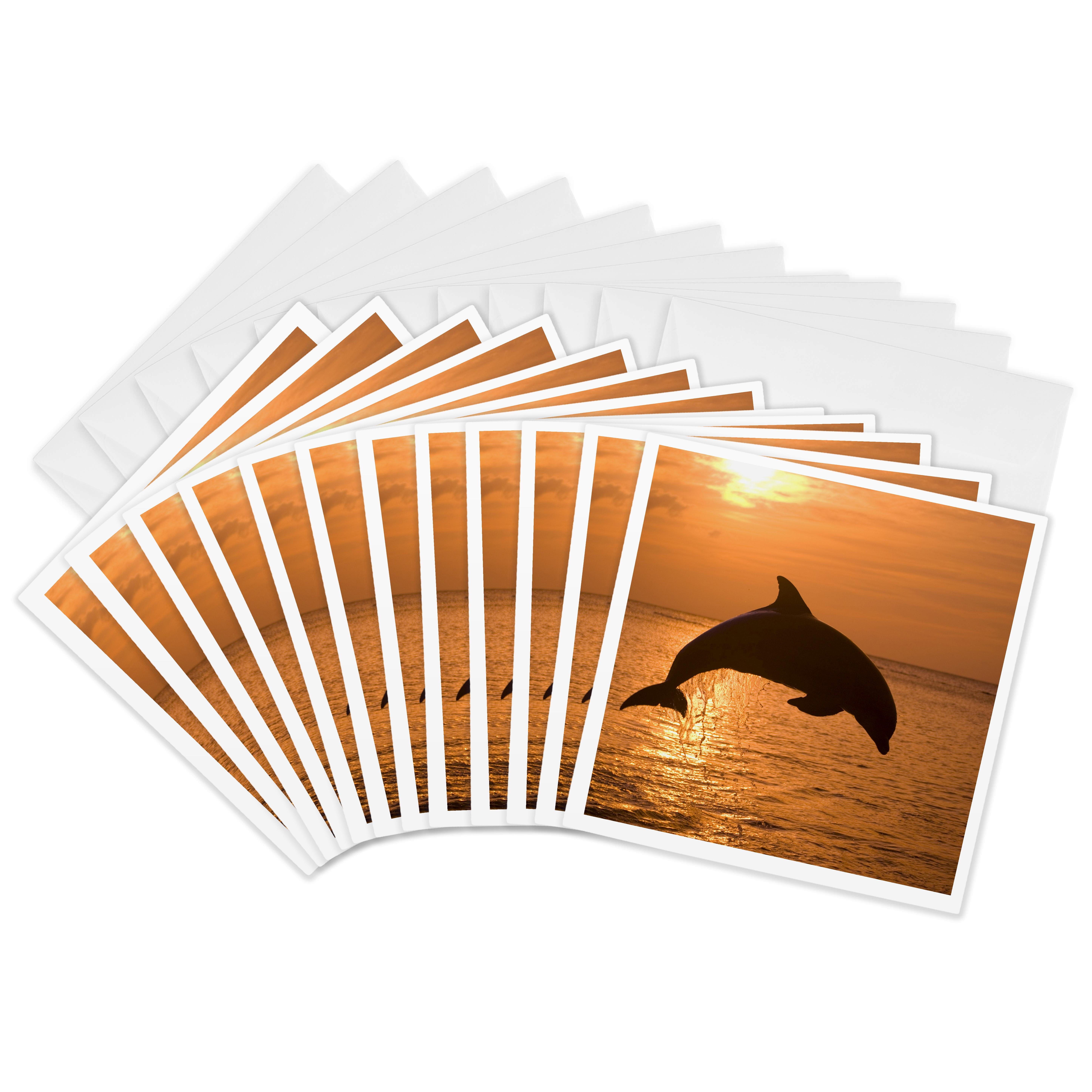 3drose, Bottlenose Dolphins, Roatan, Honduras - Sa12 Swe0009 - Stuart ...