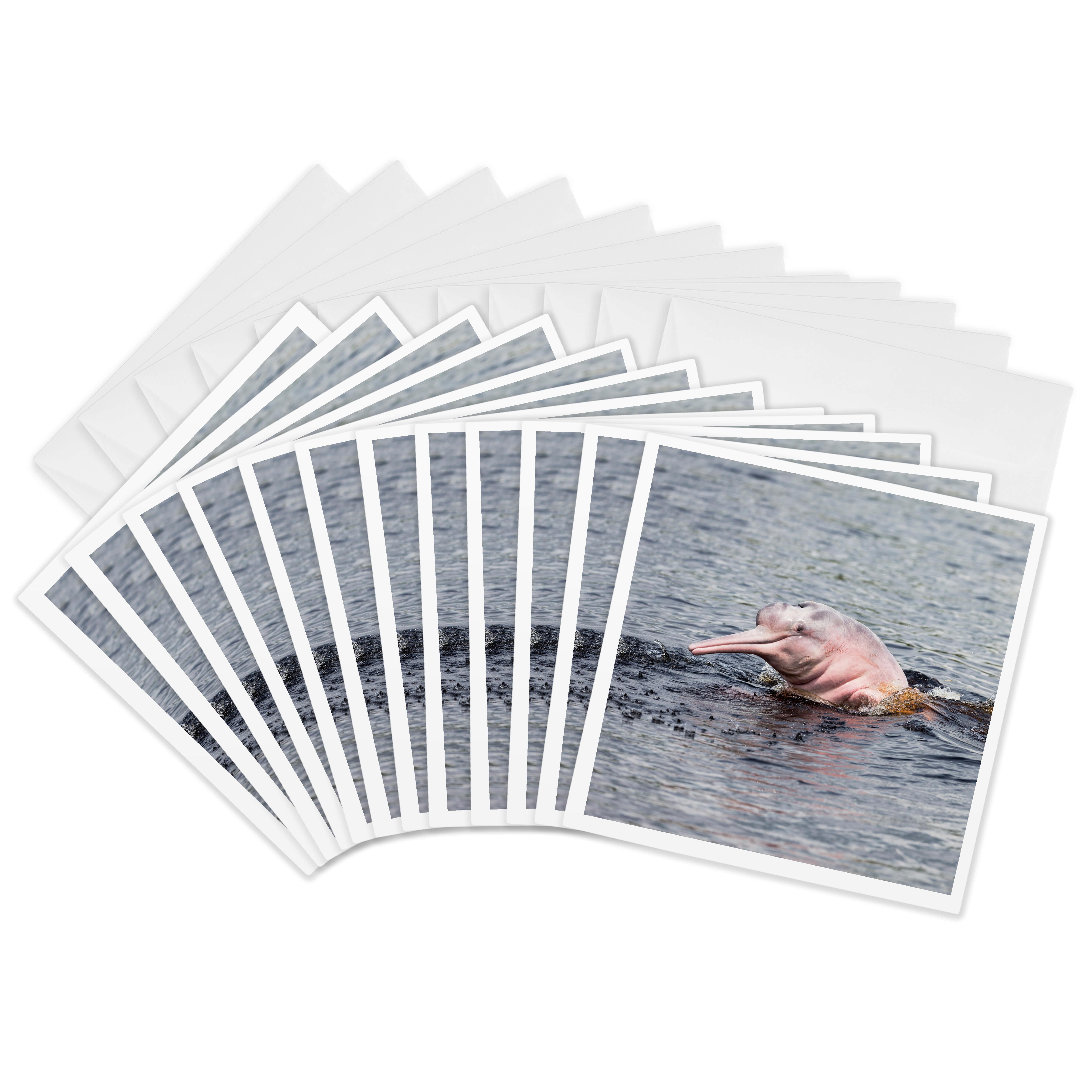 3drose, Brazil, Amazon, Manaus, Rio Negro, Pink River Dolphin Saying Hi ...