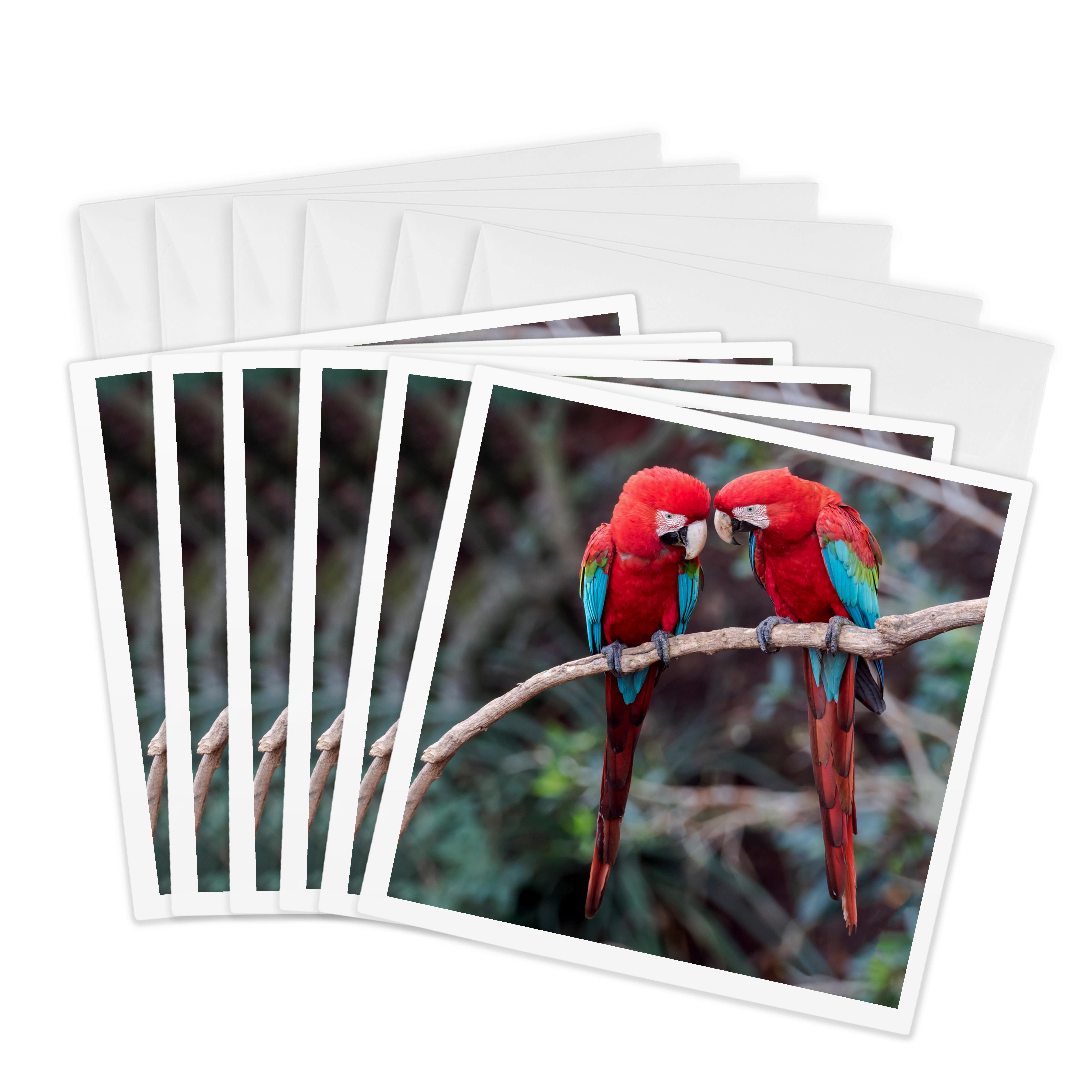 3drose, Brazil, Jardim, Sinkhole of the Macaws. Red and Green Macaws ...