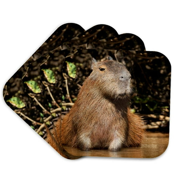 3drose, Brazil, Mato Grosso, the Pantanal. Capybara Sitting in Water ...
