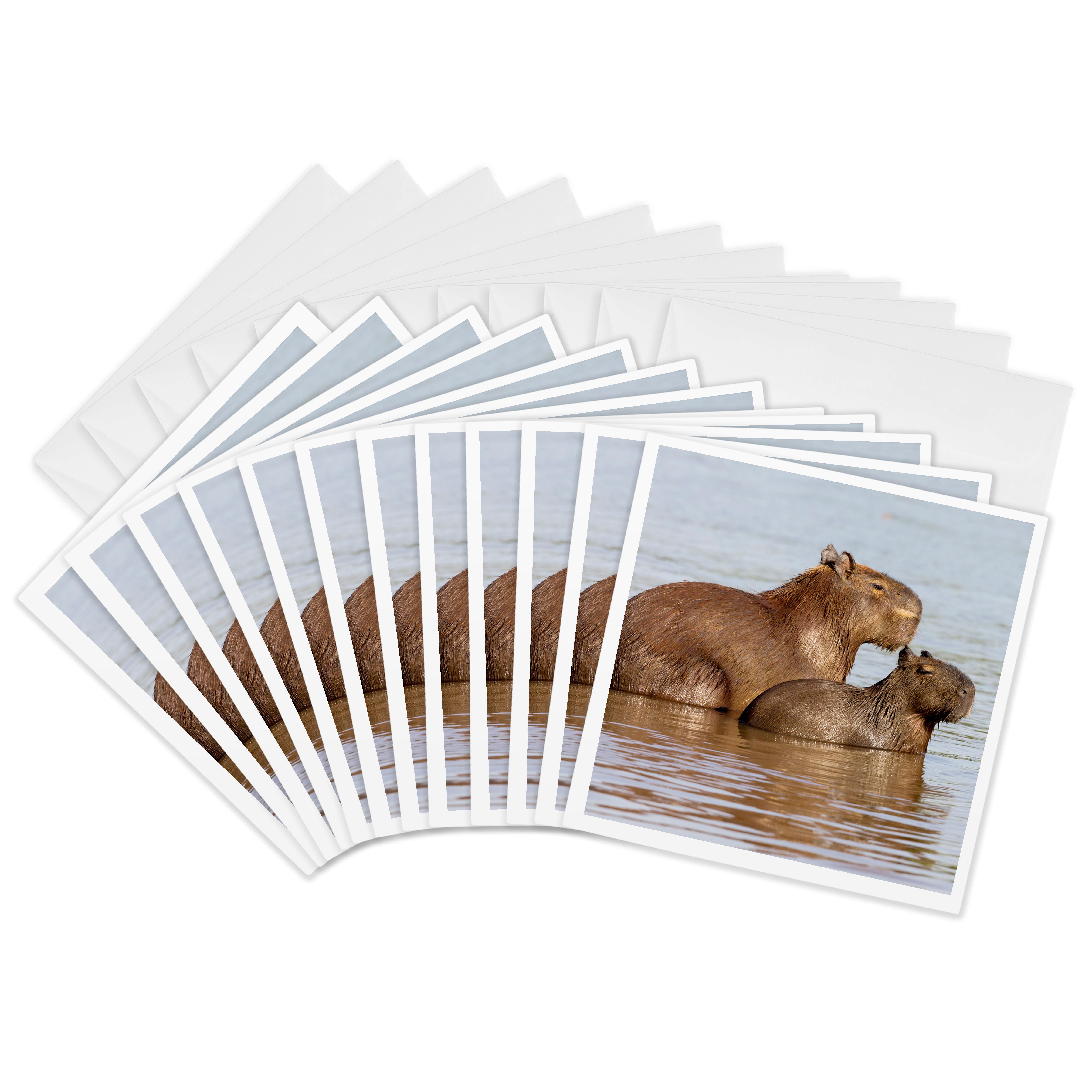 3drose, Brazil, the Pantanal, Adult Capybara and Young in the Rio ...