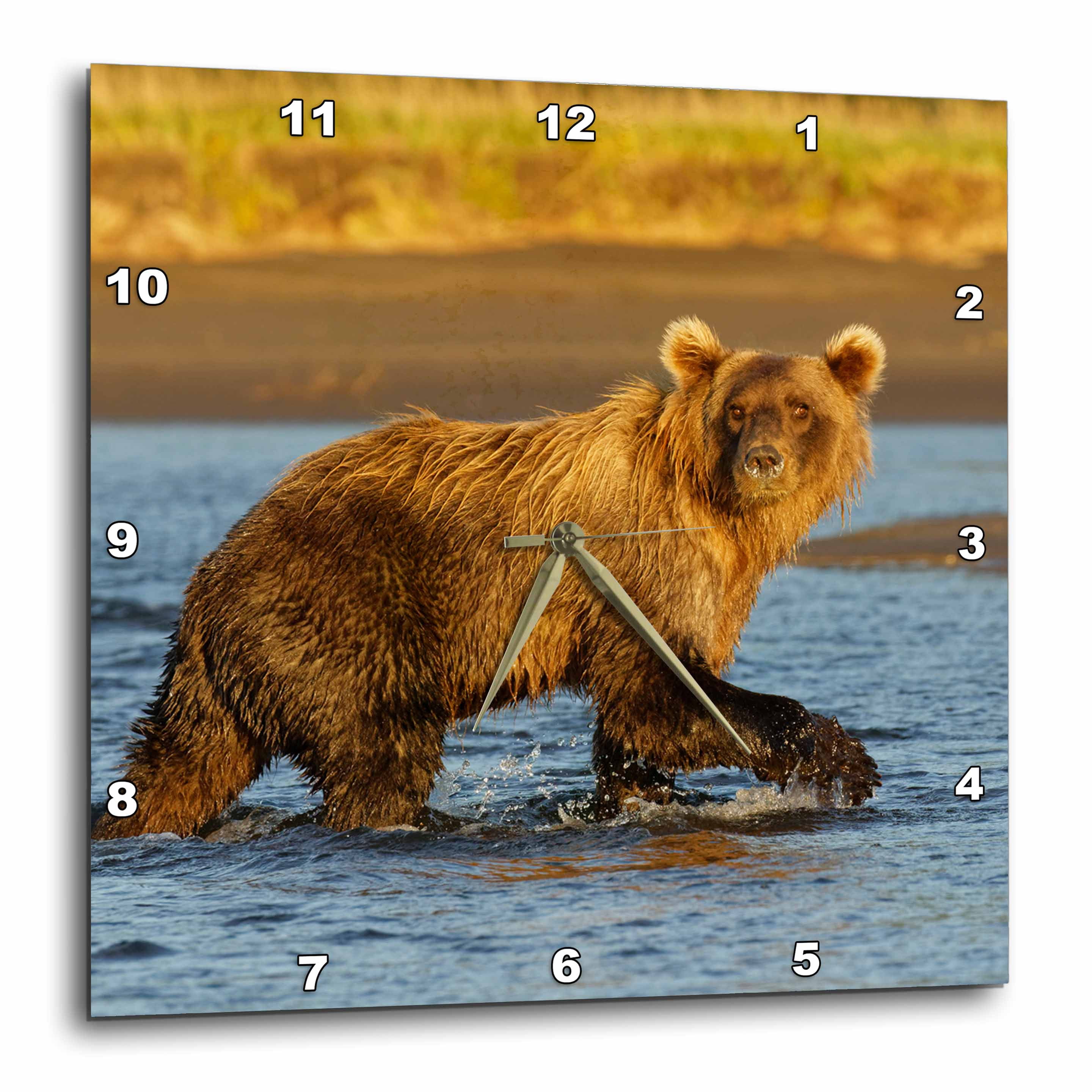 3drose, Brown Bear Fishing for Salmon, Silver Salmon Creek, Alaska ...